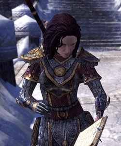 Windhelm's Champion | Elder Scrolls | Fandom