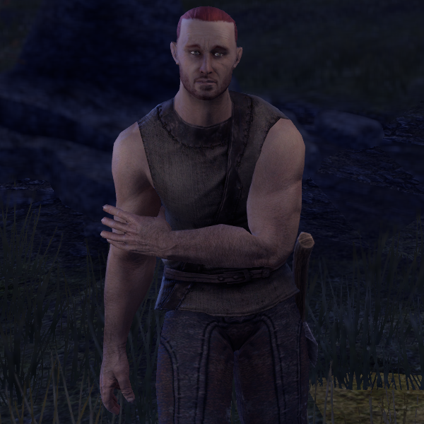 Подунн Каменное Сердце The Elder Scrolls Wiki Fandom