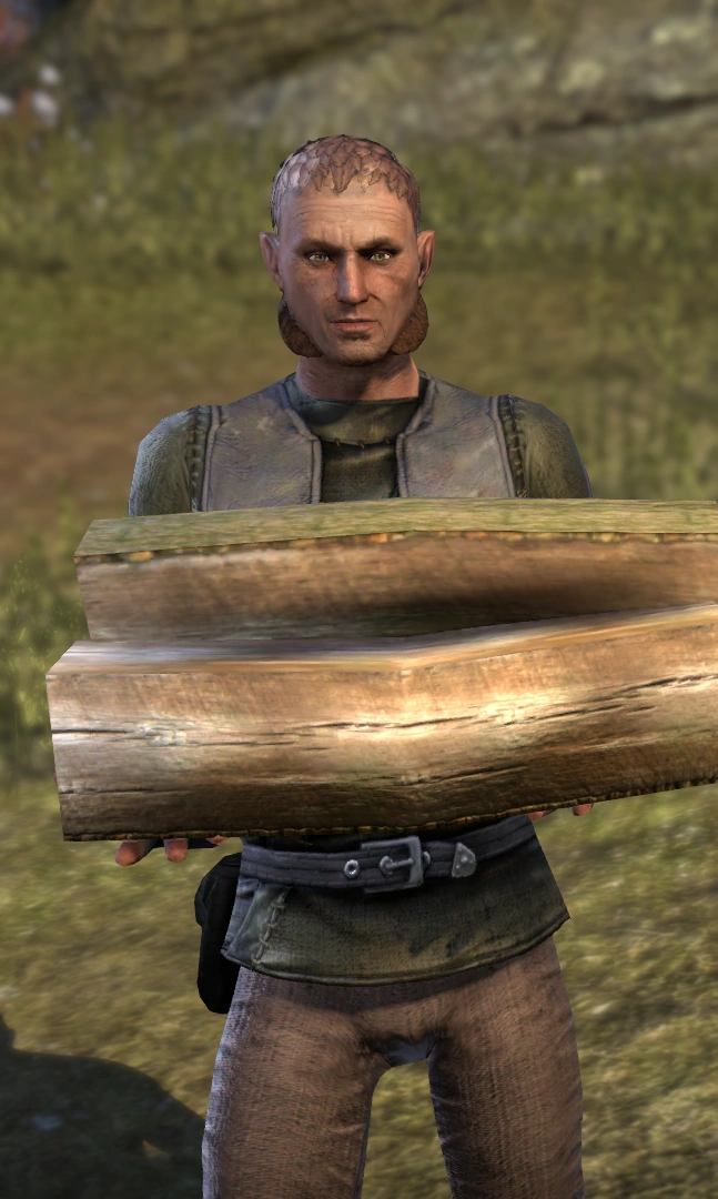 Elnis Admand | Wiki The Elder Scrolls | Fandom