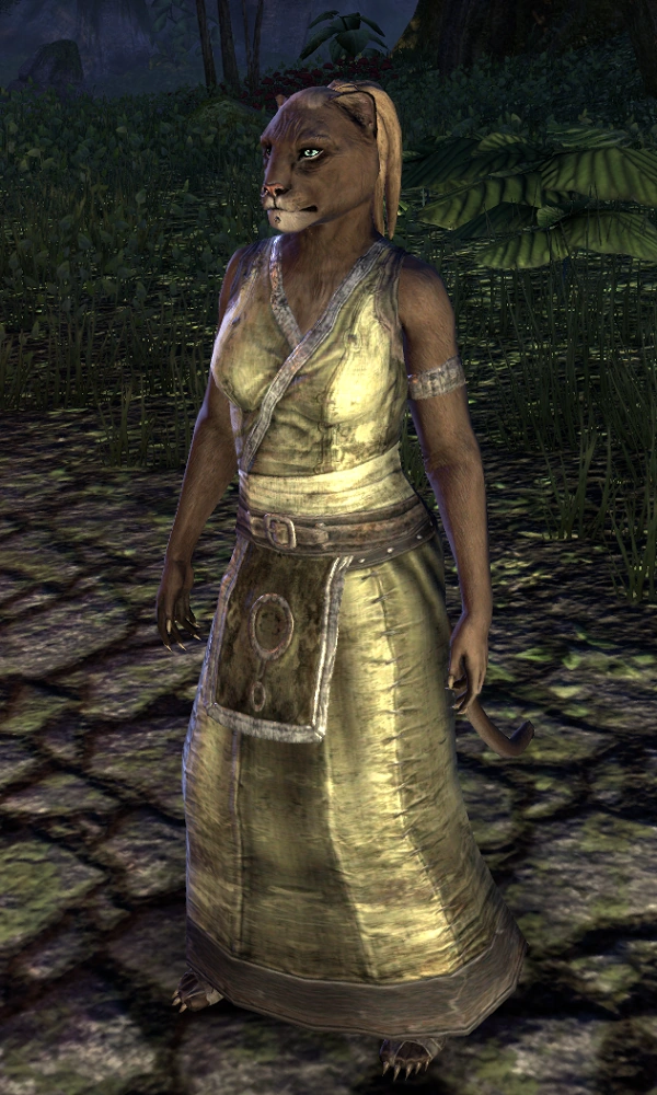 Mathi | Elder Scrolls | Fandom