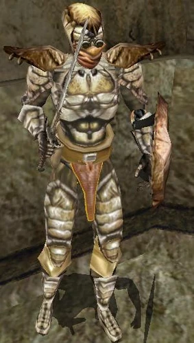 Armadura quitinosa (Morrowind) | Elder Scrolls | Fandom