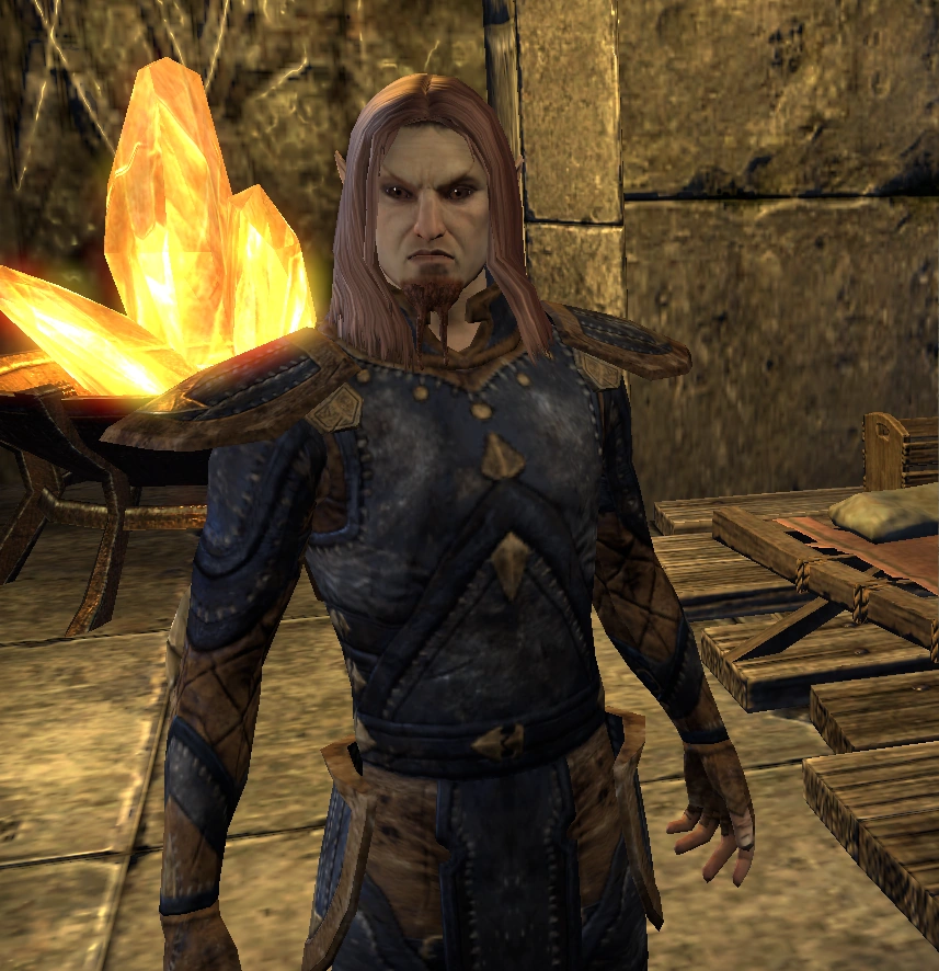 Category:Online: Quendeluun Characters | Elder Scrolls | Fandom