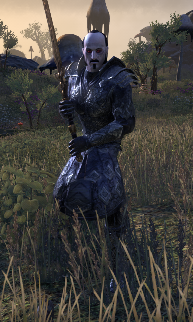 Immortel De Berne Wiki The Elder Scrolls Fandom