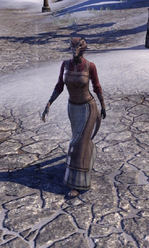 Martul | Elder Scrolls | Fandom