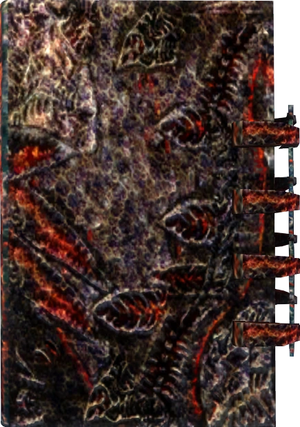 Podręcznik Xedilian | The Elder Scrolls Wiki | Fandom