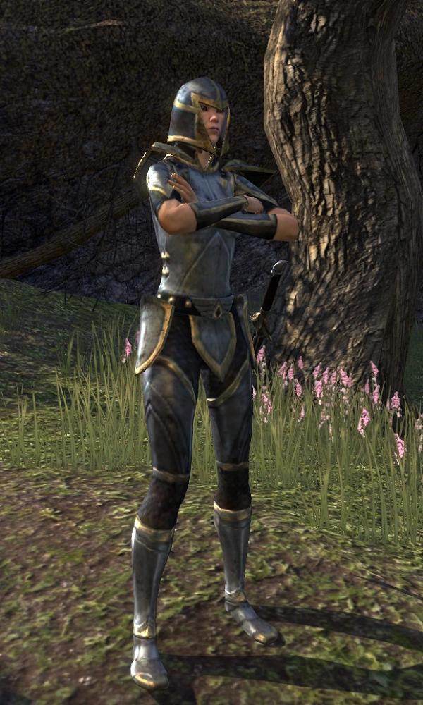 Thalmor Guard Instructor | Elder Scrolls | Fandom