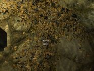 Jazbay Grapes (Skyrim) | Elder Scrolls | Fandom