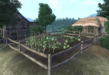 Aleswell (Oblivion) | Elder Scrolls | Fandom