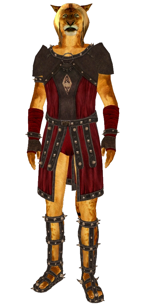 Light Raiment of Valor | Elder Scrolls | Fandom