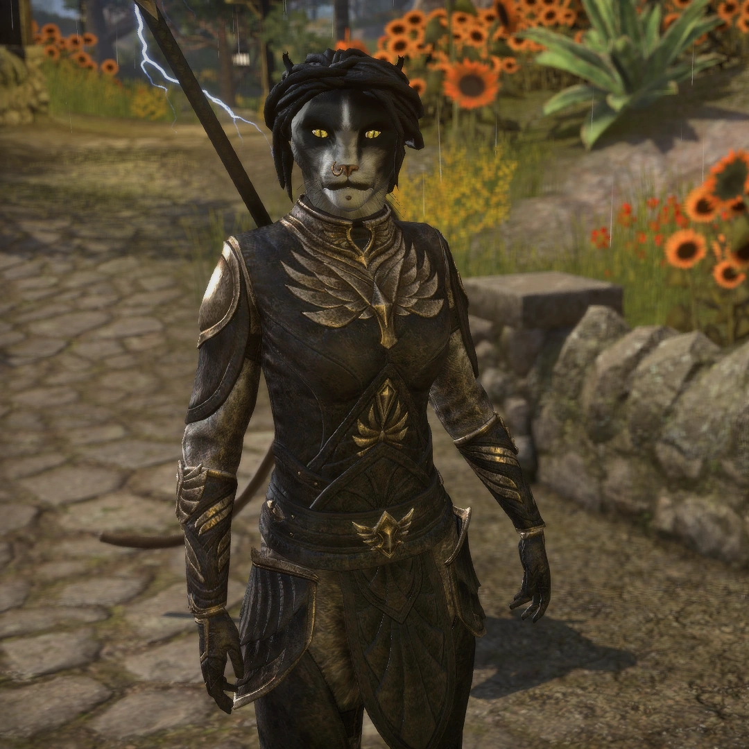 Ember (Character) | Elder Scrolls | Fandom