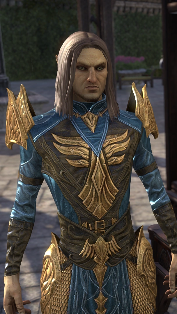 Justiciar Tanorian | Wiki The Elder Scrolls | Fandom