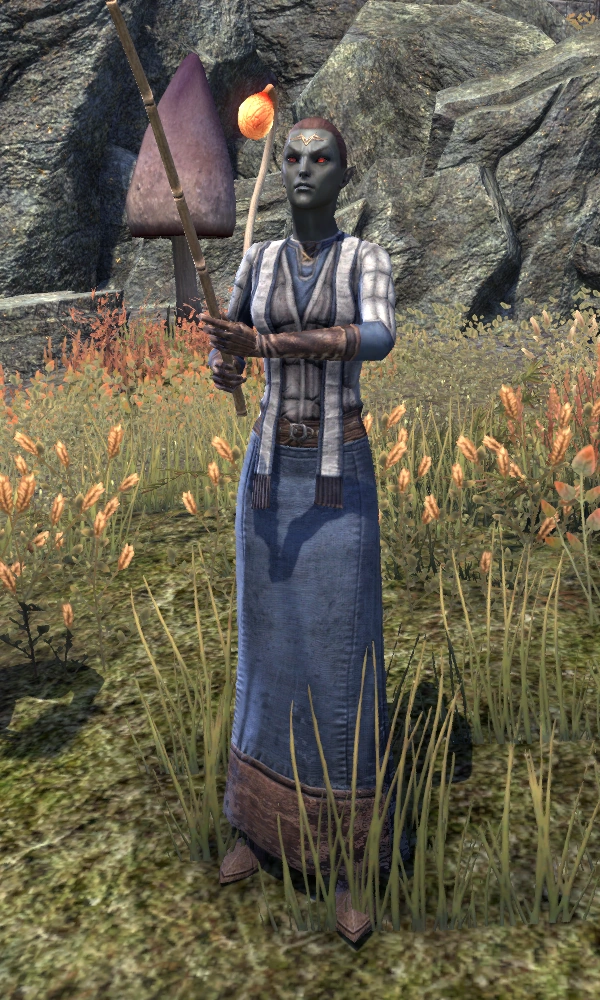 Rarusi Aralas | Elder Scrolls | Fandom