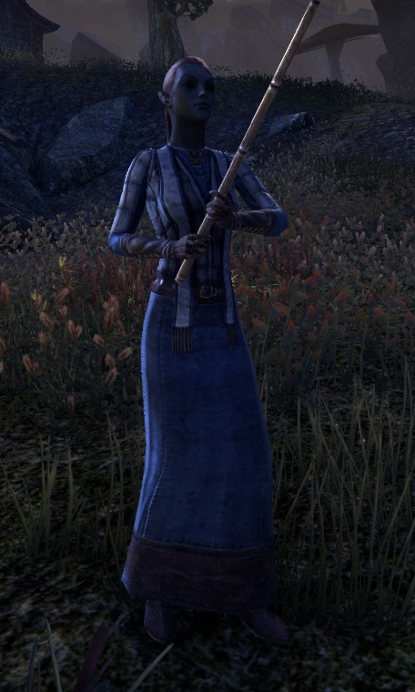 Rarusi Aralas | Wiki The Elder Scrolls | Fandom