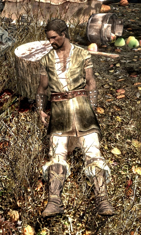 Wood Cutter (The Rift) | Elder Scrolls | Fandom