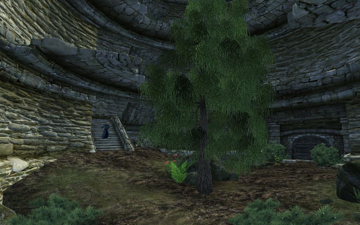 КатегорияЛокации Knights Of The Nine The Elder Scrolls Wiki Fandom