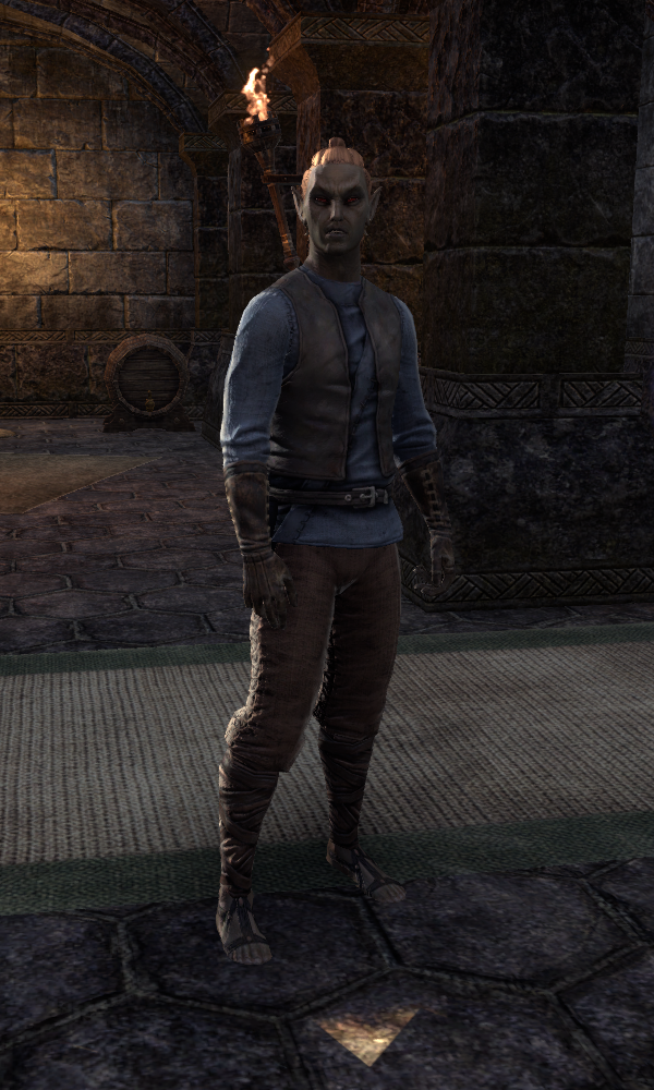 Caretaker Arethan Elder Scrolls Fandom