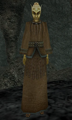 Qorwynn | Elder Scrolls | Fandom