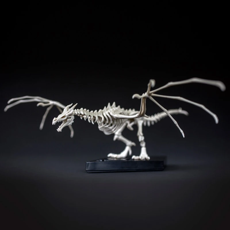 Dragon Skeleton Skyrim