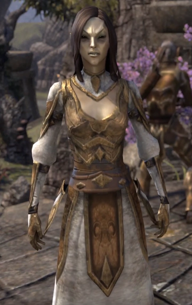 Sorcerer Turoni | Elder Scrolls | Fandom