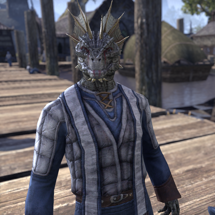 Бежит в Тени The Elder Scrolls Wiki Fandom