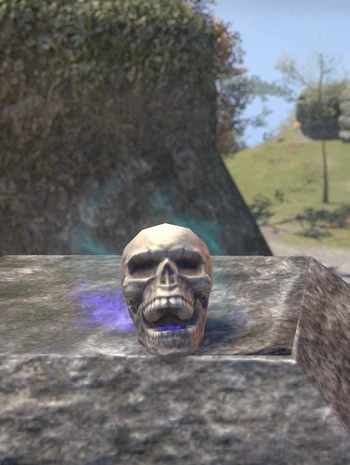 Cursed Skull | Elder Scrolls | Fandom