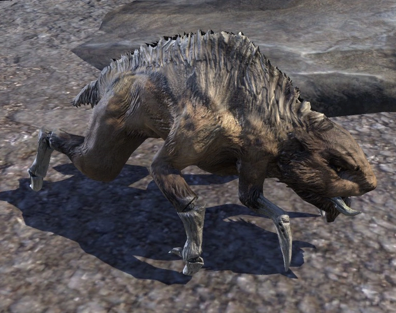 Echalette | Elder Scrolls | Fandom