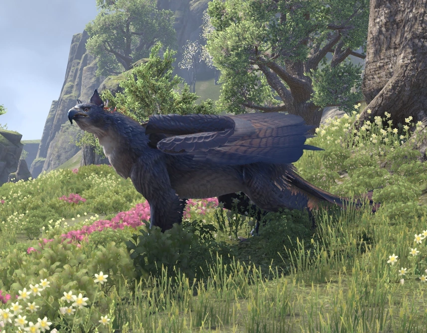 Gryphon (Online) | The Elder Scrolls Wiki | Fandom