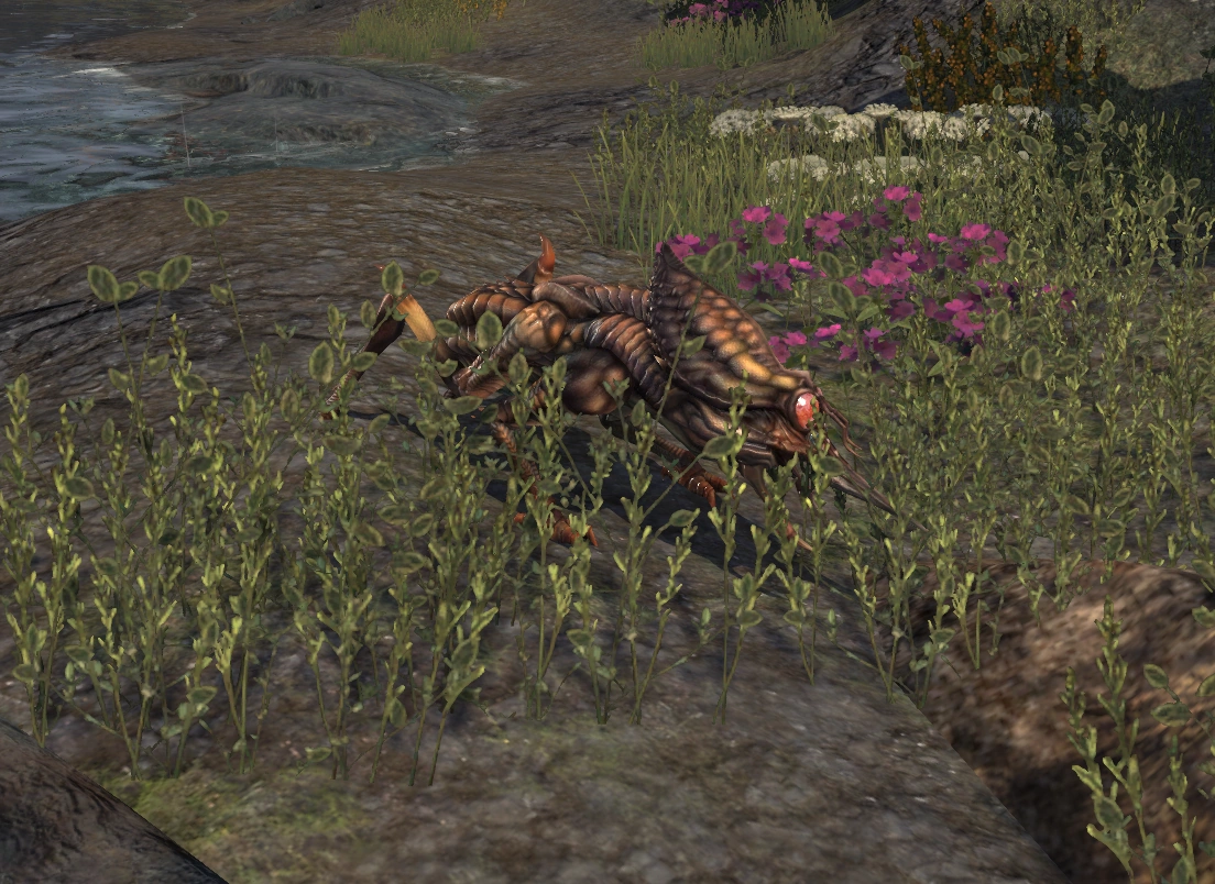 Nixxie | Elder Scrolls | Fandom