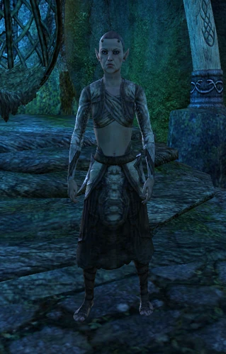 Spinner Dothriel | Elder Scrolls | Fandom