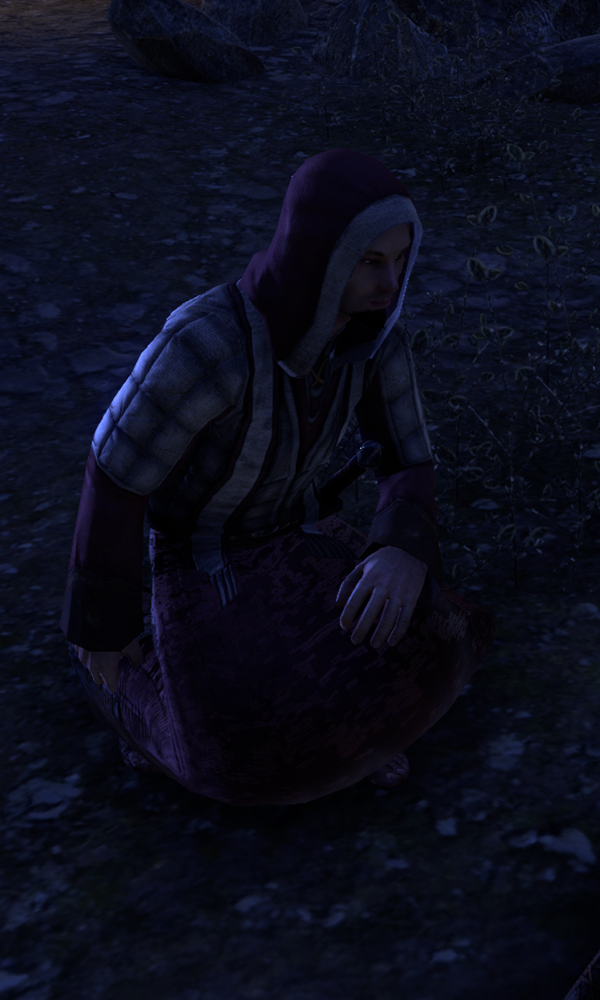 Timmon Junciennes Elder Scrolls Fandom