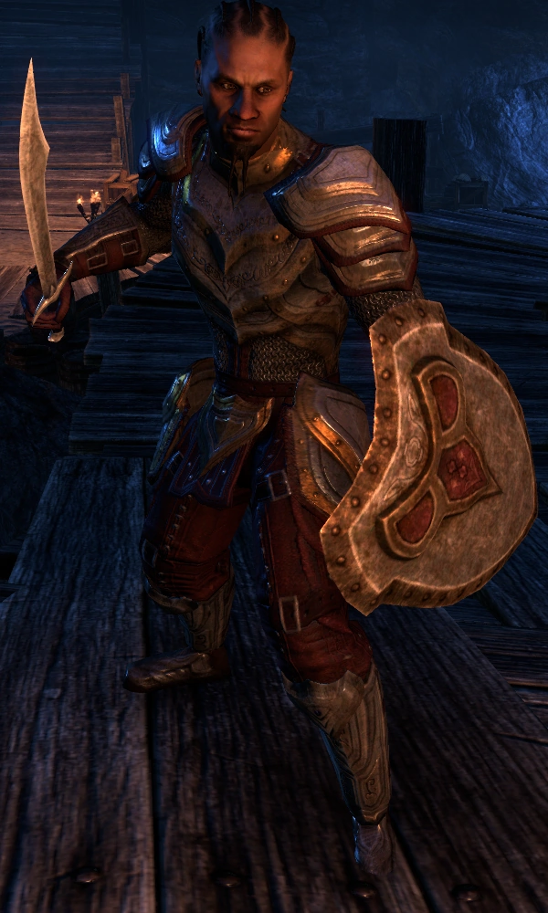 Overseer Basri | Elder Scrolls | Fandom