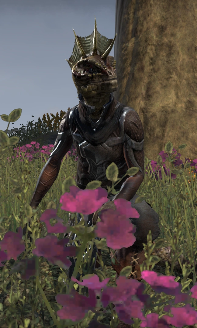 Azri | Wiki The Elder Scrolls | Fandom