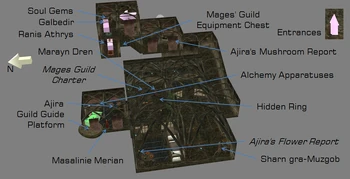 Balmora Mages Guild | Elder Scrolls | Fandom