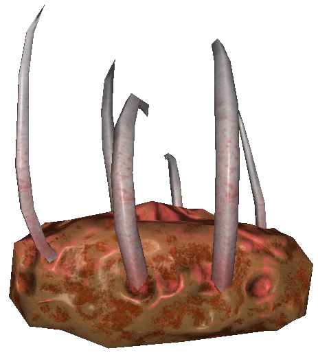 Screaming Maw (Skyrim Creation Club) | Elder Scrolls | Fandom