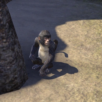 Monkey Magic | Elder Scrolls | Fandom