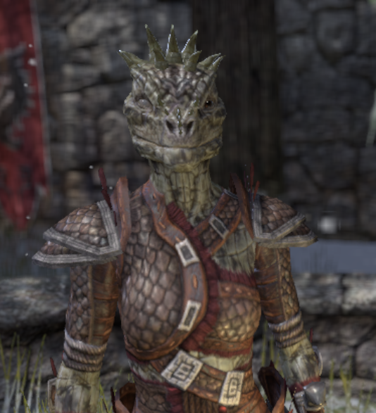 Генерал Дар Лиурз The Elder Scrolls Wiki Fandom