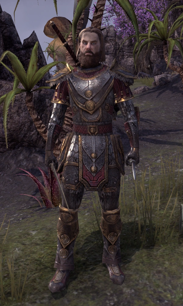 Captain Hjolm | Elder Scrolls | Fandom