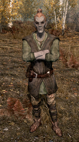 Bow to the Master | Elder Scrolls | Fandom Bow to the Master | Elder Scrolls | Fandom