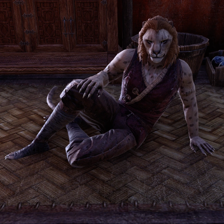 Raban | Elder Scrolls | Fandom