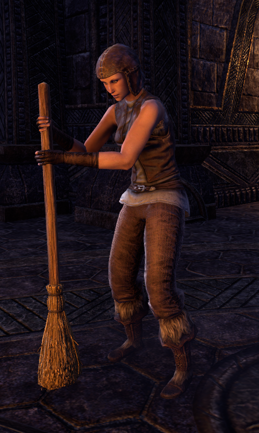 Serviteur De Hrogarheim Wiki The Elder Scrolls Fandom