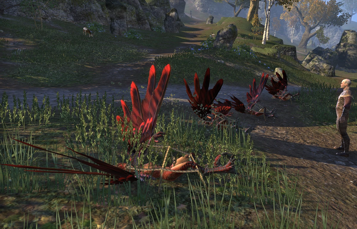 The Dagger's Edge | Elder Scrolls | Fandom