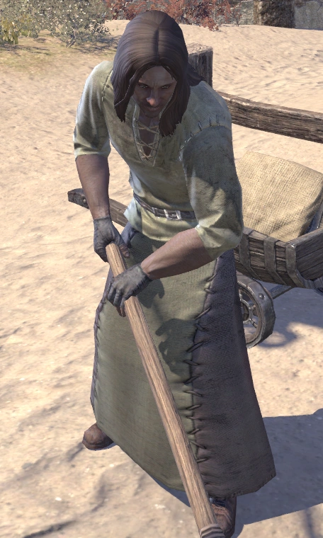 Haytham (Hallin's Stand) | Elder Scrolls | Fandom