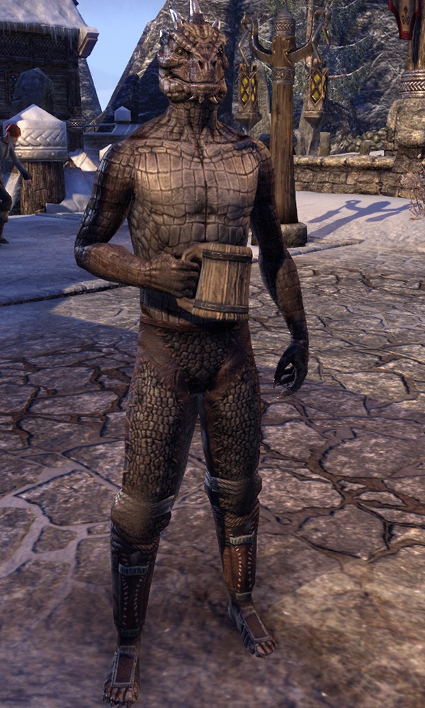 Never-Cold | Elder Scrolls | Fandom