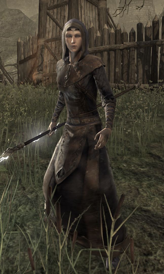 Prêtre De Guerre Alessien Wiki The Elder Scrolls Fandom