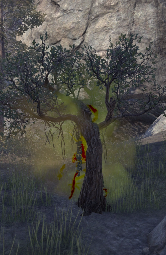 Strange Sapling | Elder Scrolls | Fandom