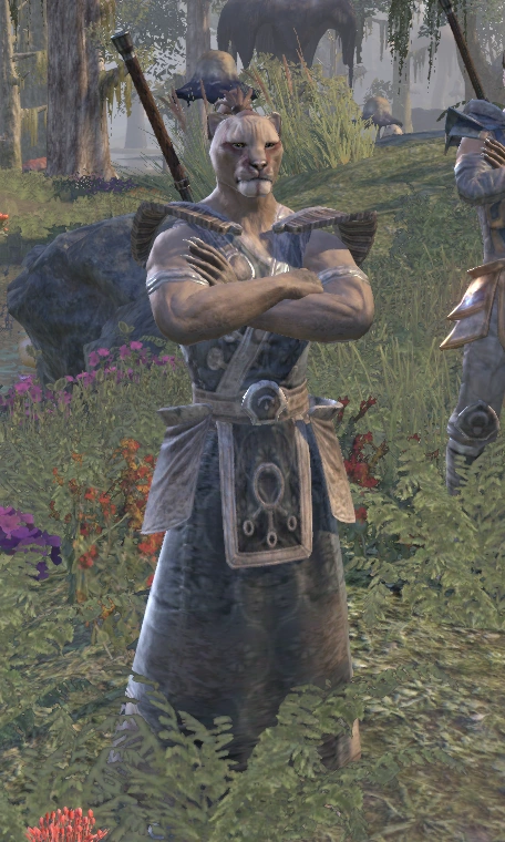 Warclaw Mercenary (Online) | Elder Scrolls | Fandom