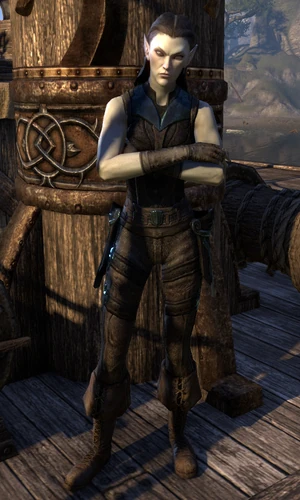 Captain Irinwe | Elder Scrolls | Fandom