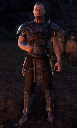 Beryn | Elder Scrolls | Fandom