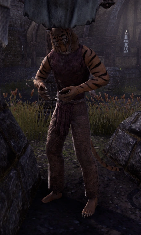 Irgazdul | Wiki The Elder Scrolls | Fandom