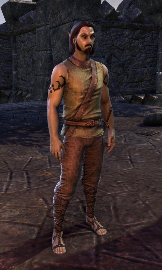 Mavon Mavani | Elder Scrolls | Fandom